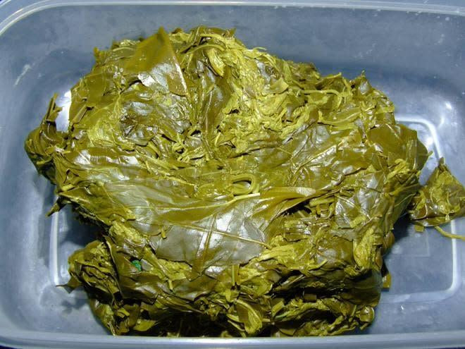 Boiled Cassia Flowers & Leaves 200g (T2) CHOOSE NEXT DAY DELIVERY ONLY ...